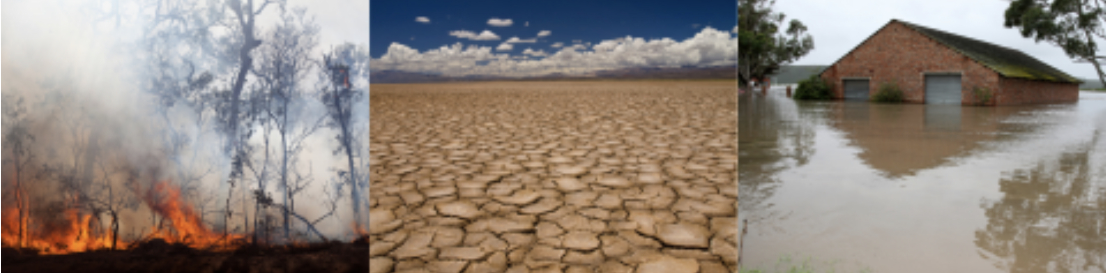 Community Recovery Training – Rhythm2Recovery